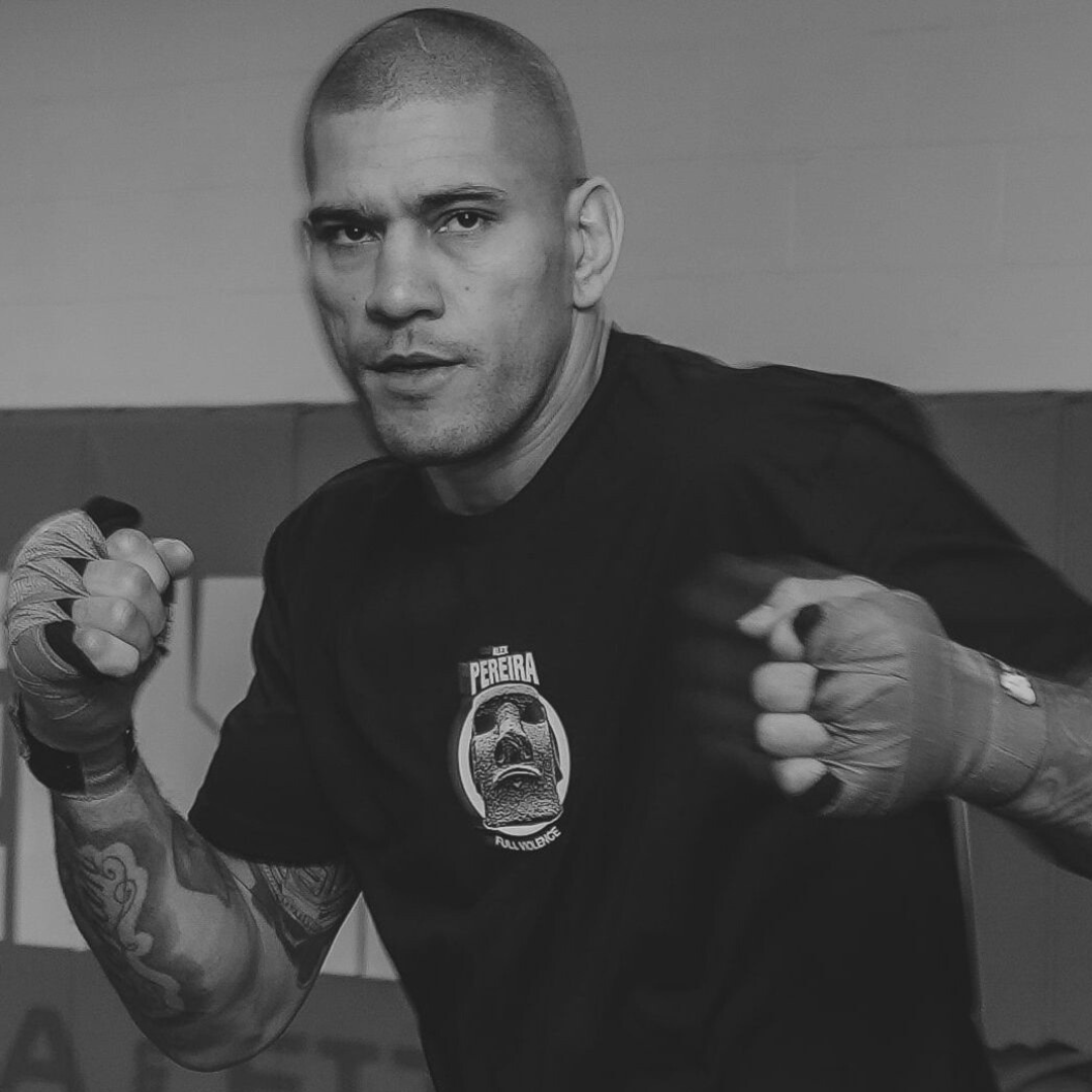 OFFICIAL LICENSED FIGHTERS – FULL VIOLENCE STORE