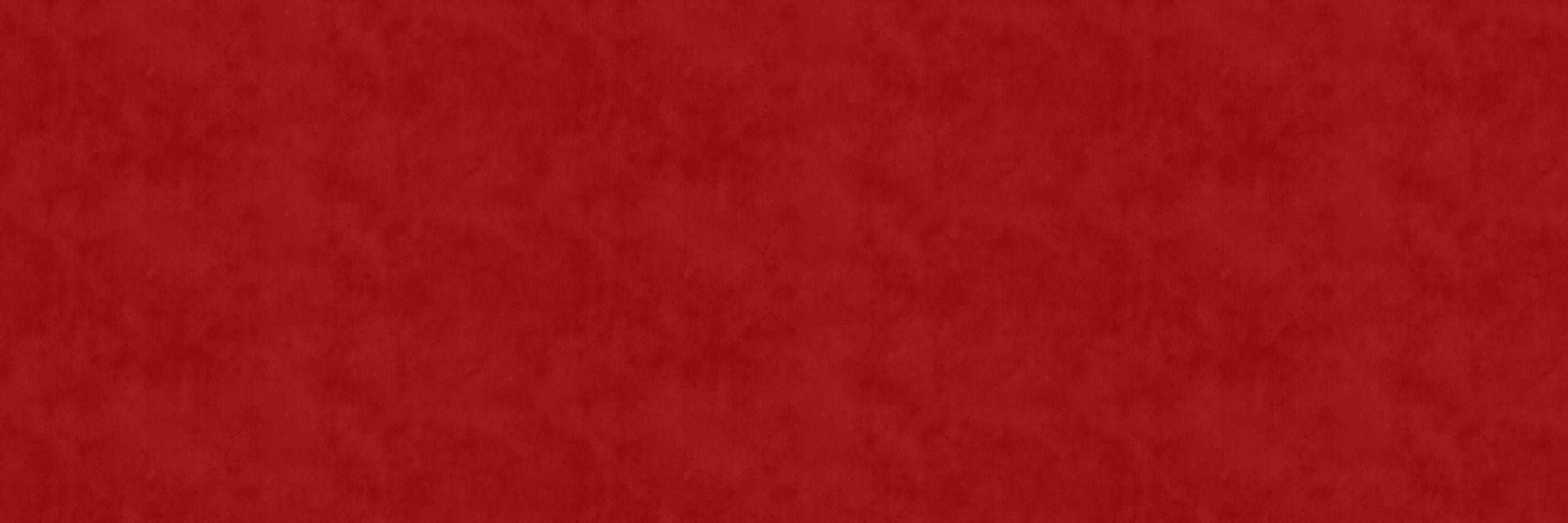 OFFICIAL LICENSED FIGHTERS