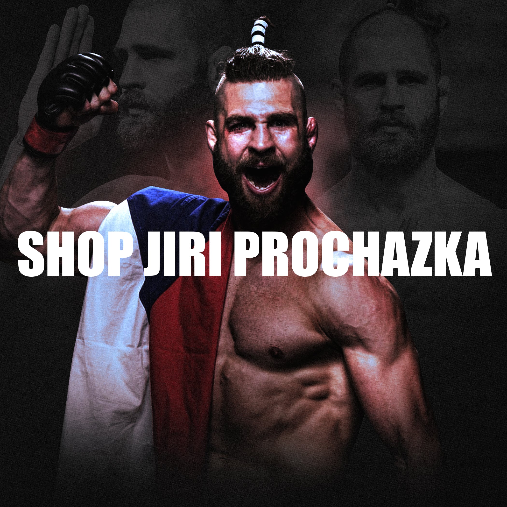 OFFICIAL LICENSED FIGHTERS – FULL VIOLENCE STORE