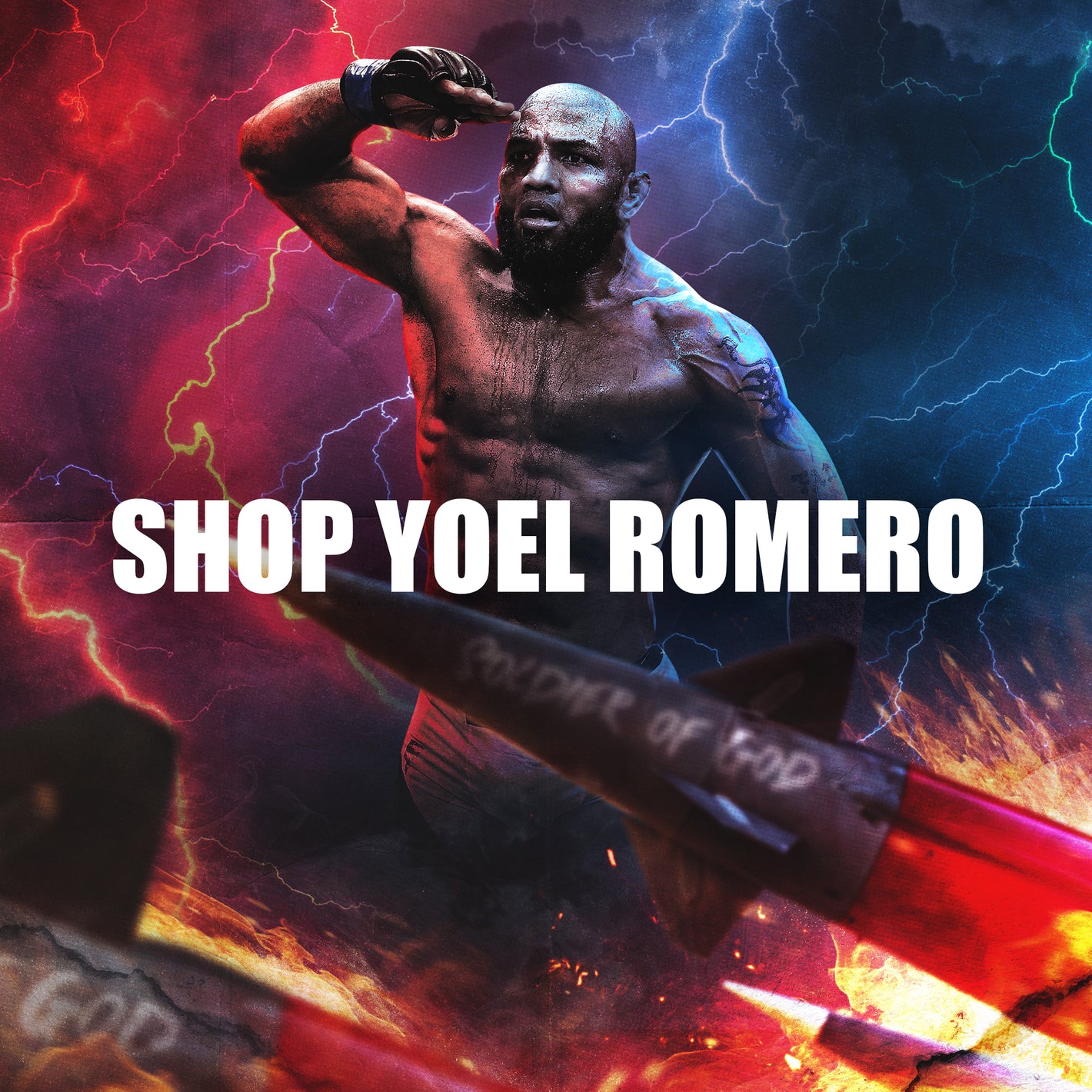 OFFICIAL LICENSED FIGHTERS – FULL VIOLENCE STORE